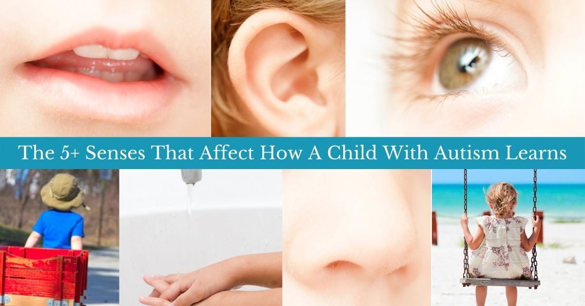 The 5 + Senses That Affect How A Child With Autism Learns – Autism ...