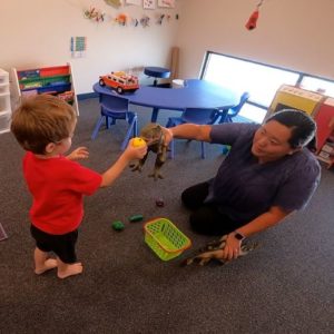 EI Tutorials – Autism Early Learning